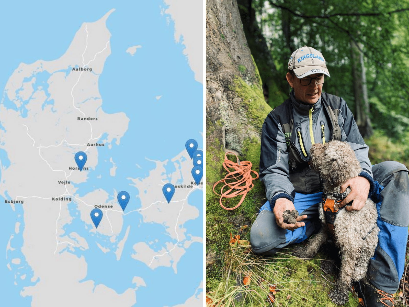 Rune maps truffle spots in Denmark Viamap